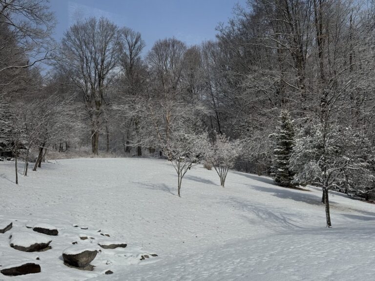 Monday Musings: Here We Are | David B. Coe, Author of Fantasy