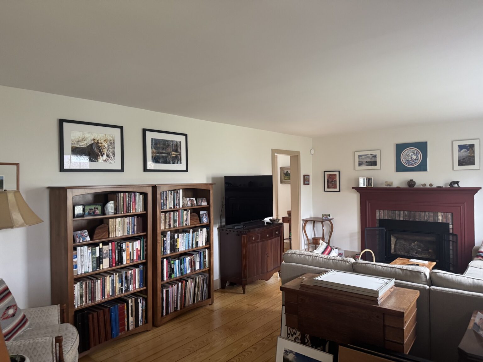 Monday Musings: Nesting (Redux) and Writing | David B. Coe, Author of ...